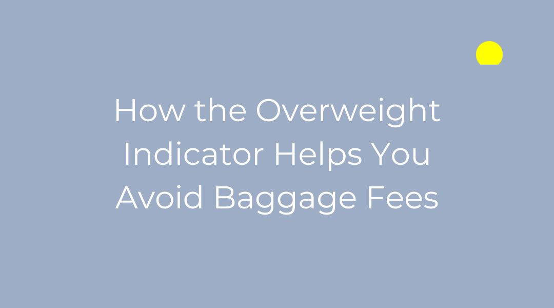 How the Overweight Indicator Helps You Avoid Baggage Fees | DELSEY PARIS