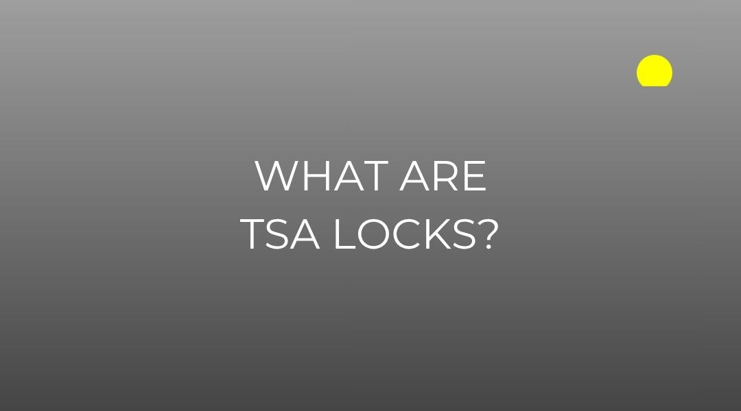 What Are TSA Locks and Why They Matter | DELSEY PARIS